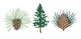 Pine Needles/Mid Pines Online Store – Pine Needles Mid Pines